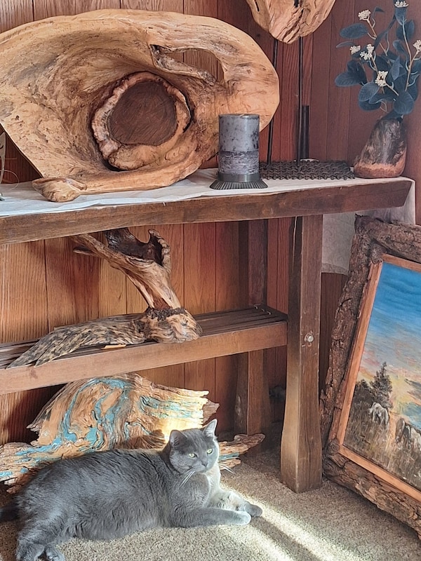 Comanche Inn - Kansas (State)