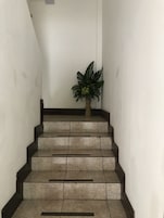 Receção