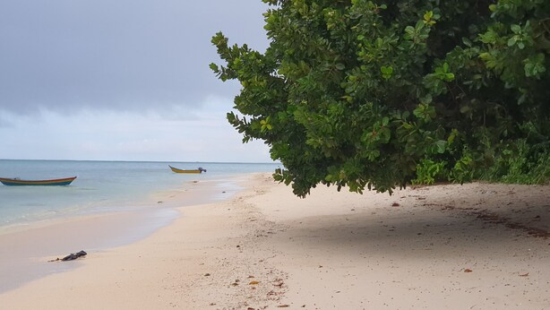 Uma praia com dois barcos, areal arenoso e vegetação verde densa.