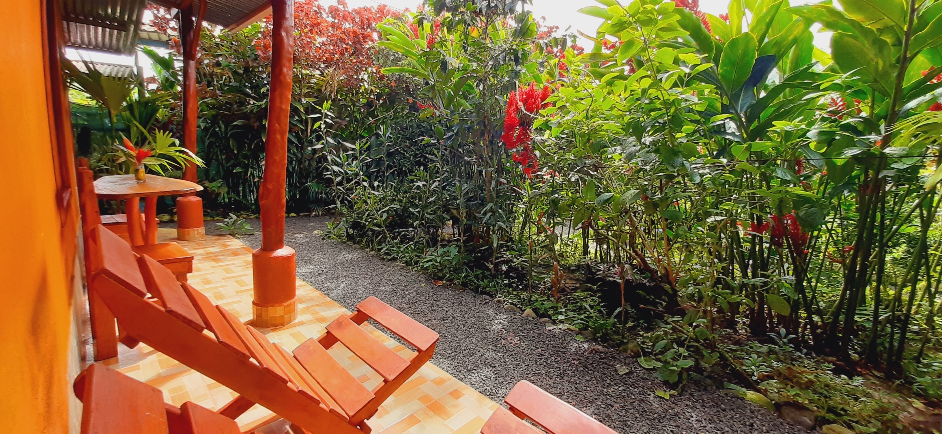 Uma área de jardim com bancos de madeira e uma mesa, rodeada por vegetação exuberante e plantas.