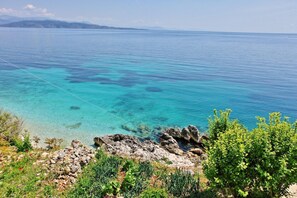 Apartamento | 1 quarto