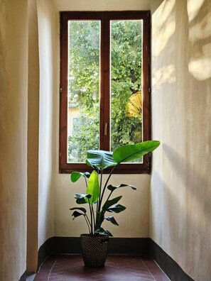 Pormenores do interior