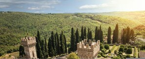 Um castelo rodeado por uma paisagem arborizada, com duas torres imponentes.