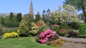 Um jardim com diversas plantas floridas, um caminho e o topo de uma igreja ao fundo.