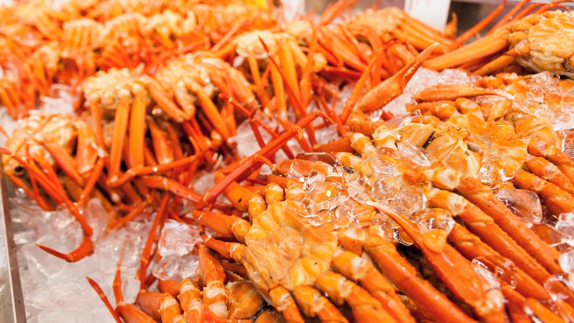 Comida e bebidas