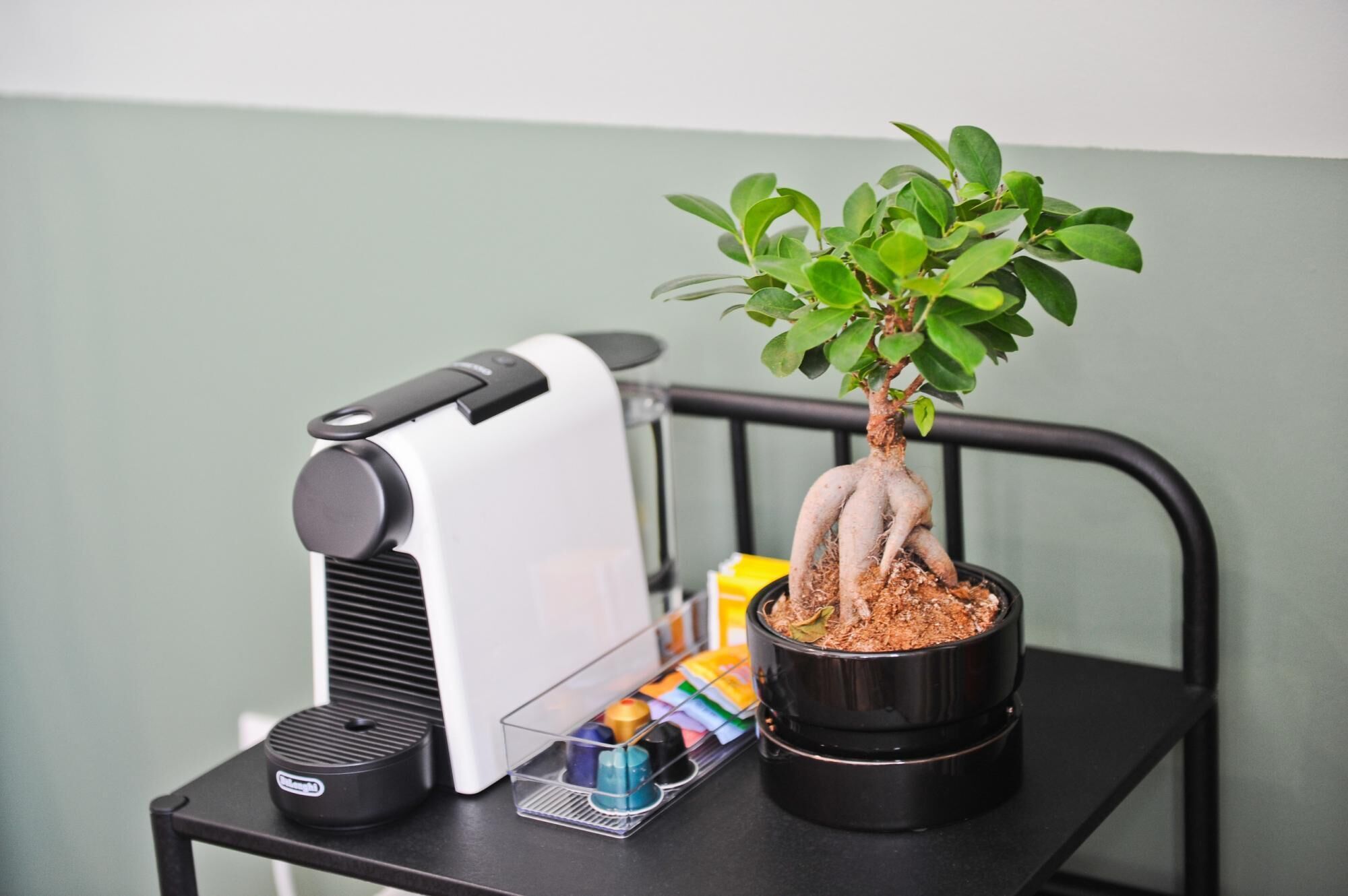 Uma pequena planta em vaso sobre uma cadeira de metal preta com um aparelho branco e preto sobre uma mesa ao lado.