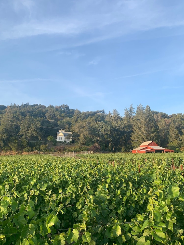 Charming Farmhouse In The Heart Of Alexander Valley - Healdsburg, CA