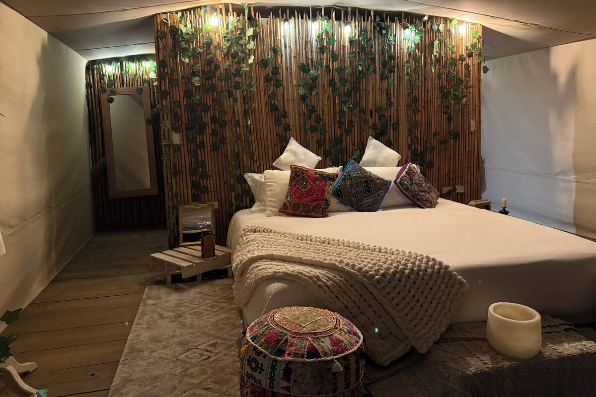Quarto com cama, almofadas, um banquinho pequeno, mesa de cabeceira e cortina com plantas penduradas.