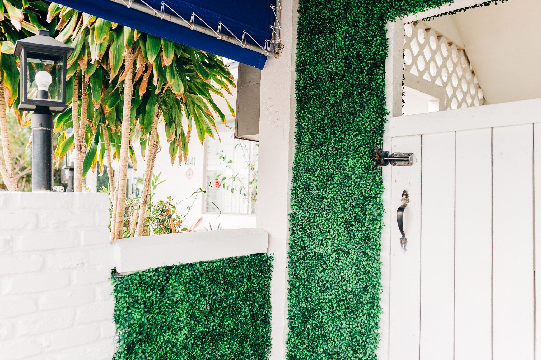 Paredes brancas com um jardim vertical verde, um toldo azul e uma porta branca com puxador de metal.
