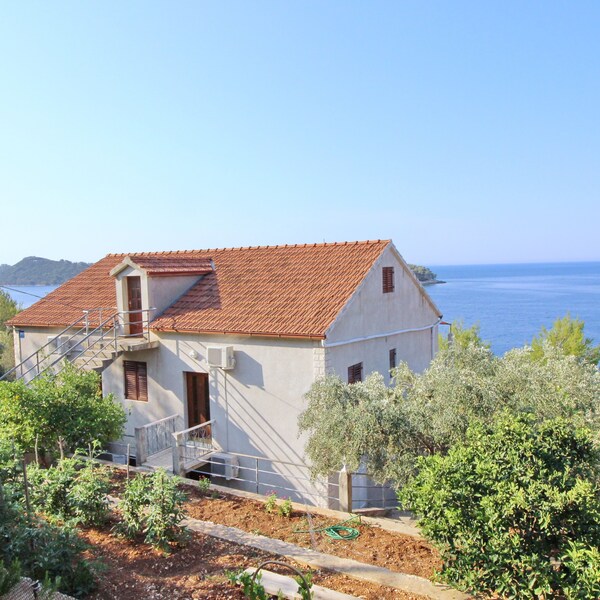 Apartments Bacic - Vela Luka