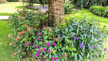 Um jardim com diversas plantas e flores, um banco de pedra e uma árvore.