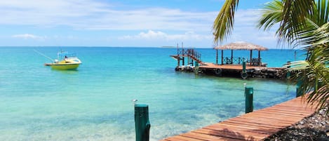 Na praia, prática de mergulho livre no local, passeios de caiaque