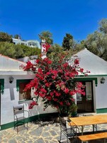 Apartamento, vista para o jardim | Terraço/pátio interior