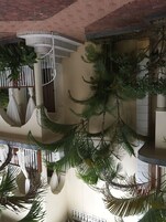 Terrenos do alojamento