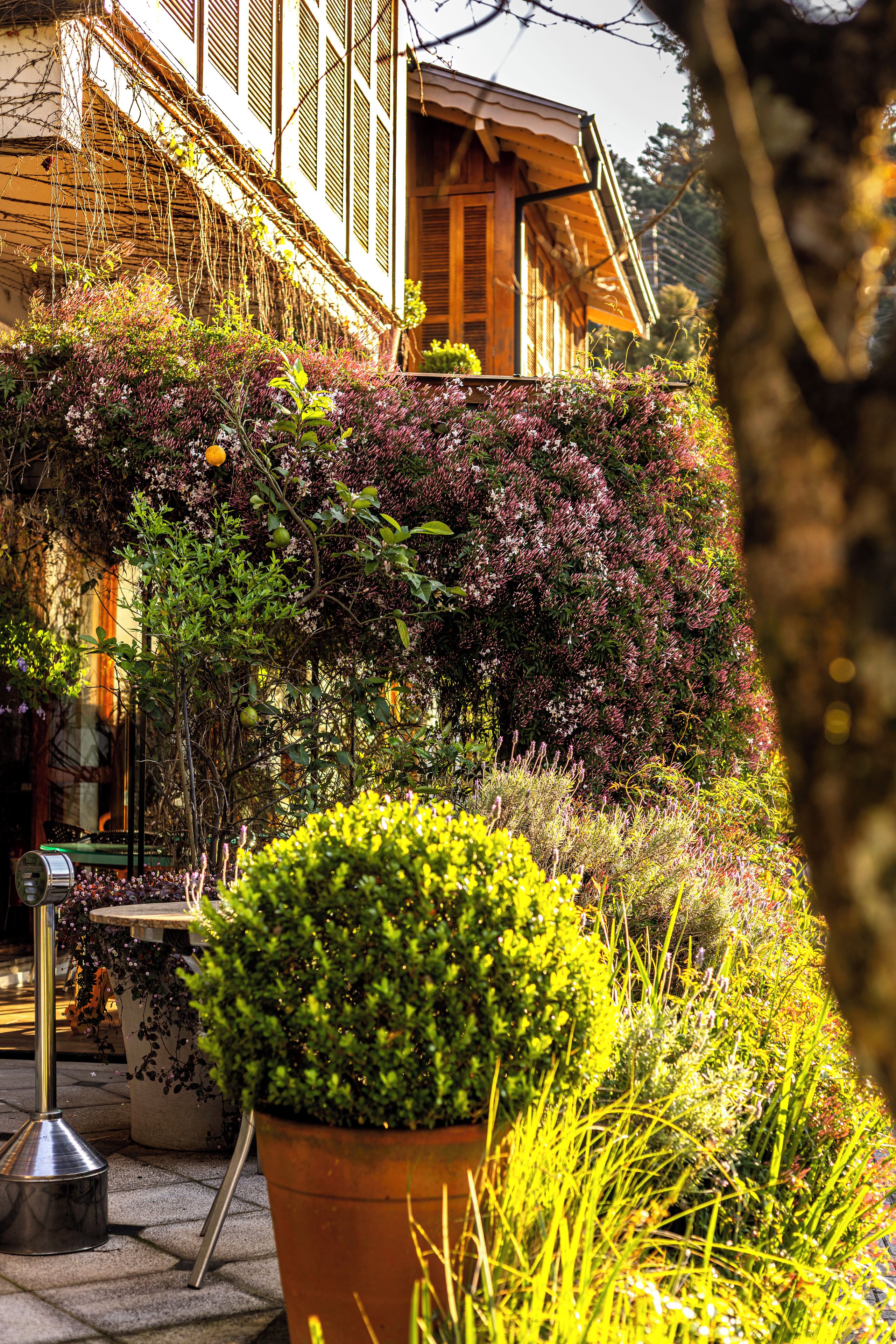 Um edifício com fachada de madeira, um jardim com diversas plantas e uma estrutura metálica.