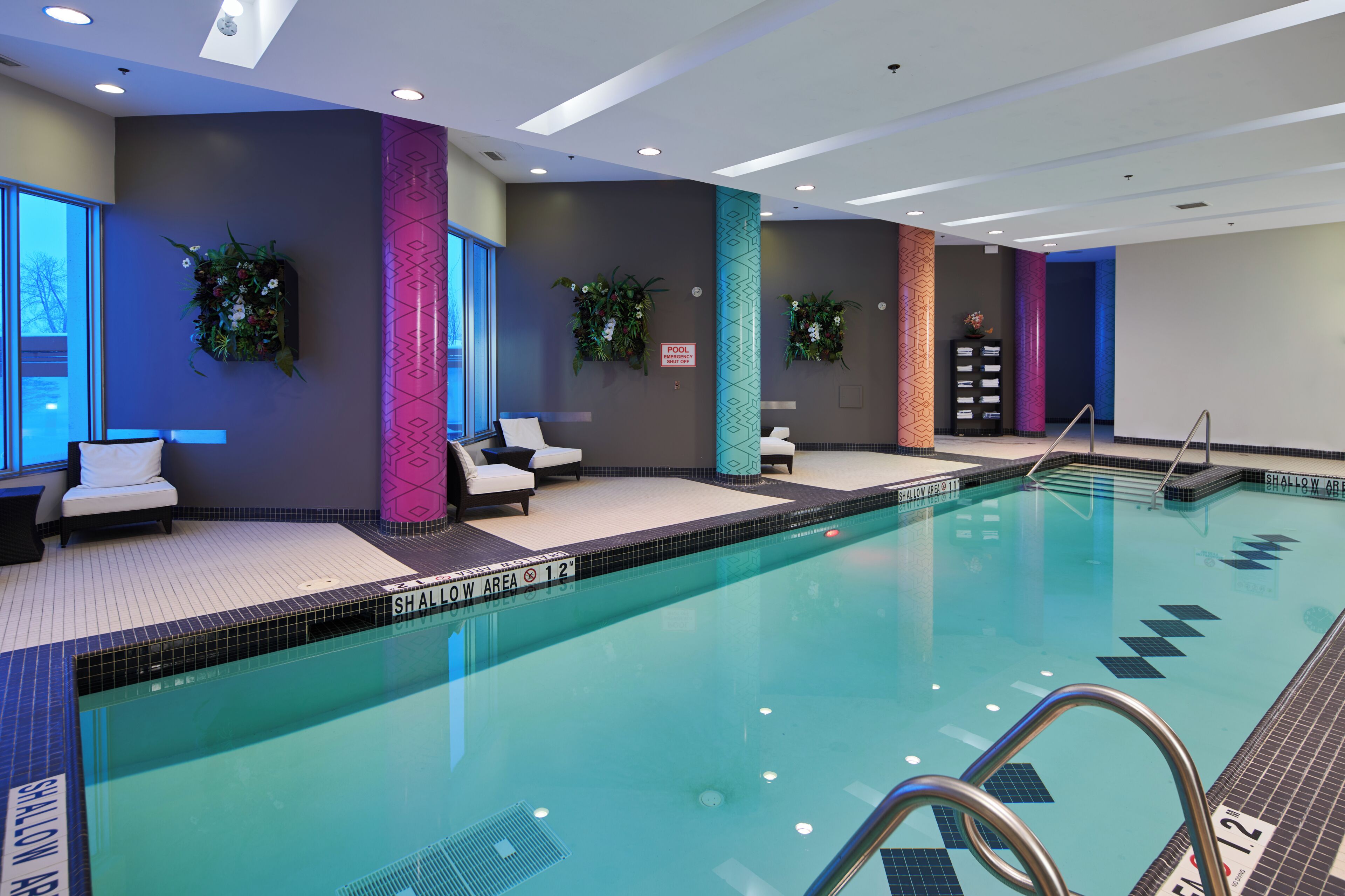 Piscina com área rasa, espreguiçadeiras e plantas decorativas.