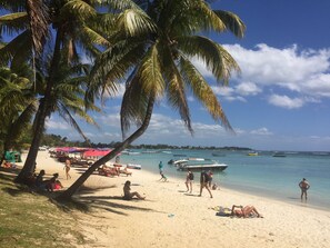 Uma praia com palmeiras, água azul cristalina e vários barcos.
