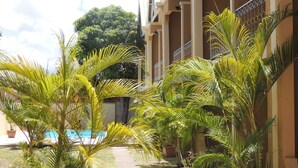 Um pátio com palmeiras em vasos, piscina e um edifício com varandas.