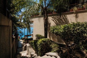 Pormenores do exterior