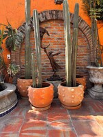 Terraço/pátio interior