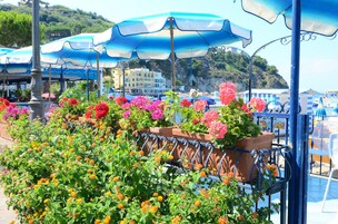 Pormenores do exterior