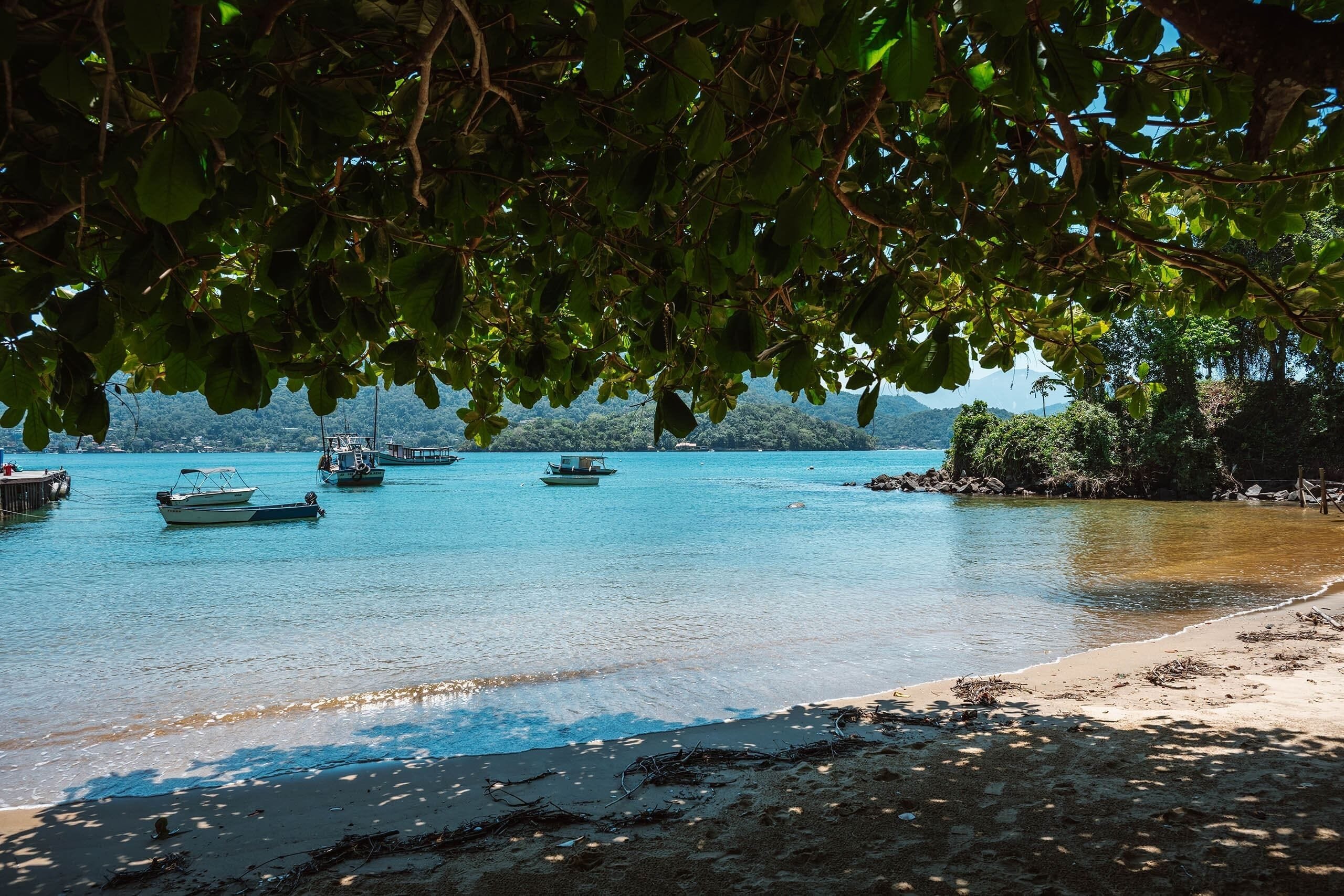 Uma praia com barcos e uma área arborizada ao fundo.