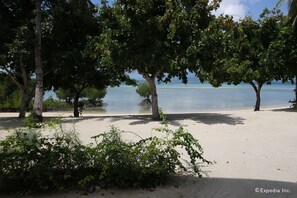 Uma praia com árvores e água cristalina.