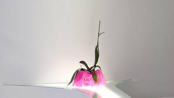 Uma área de recepção moderna com uma mesa de vidro, um arranjo floral rosa e um sofá branco.