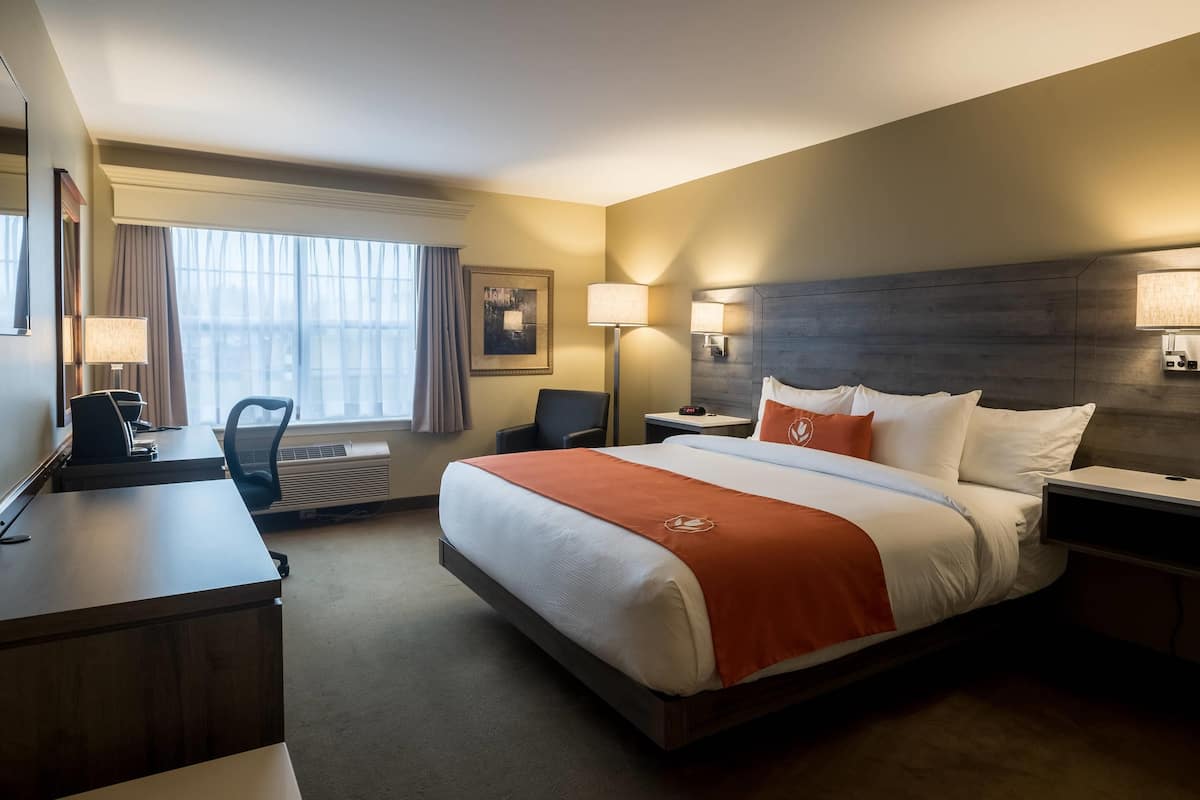 Quarto de hotel com cama grande, escrivaninha, cadeira, abajur, mesa de cabeceira, luminária na parede e uma pintura emoldurada.