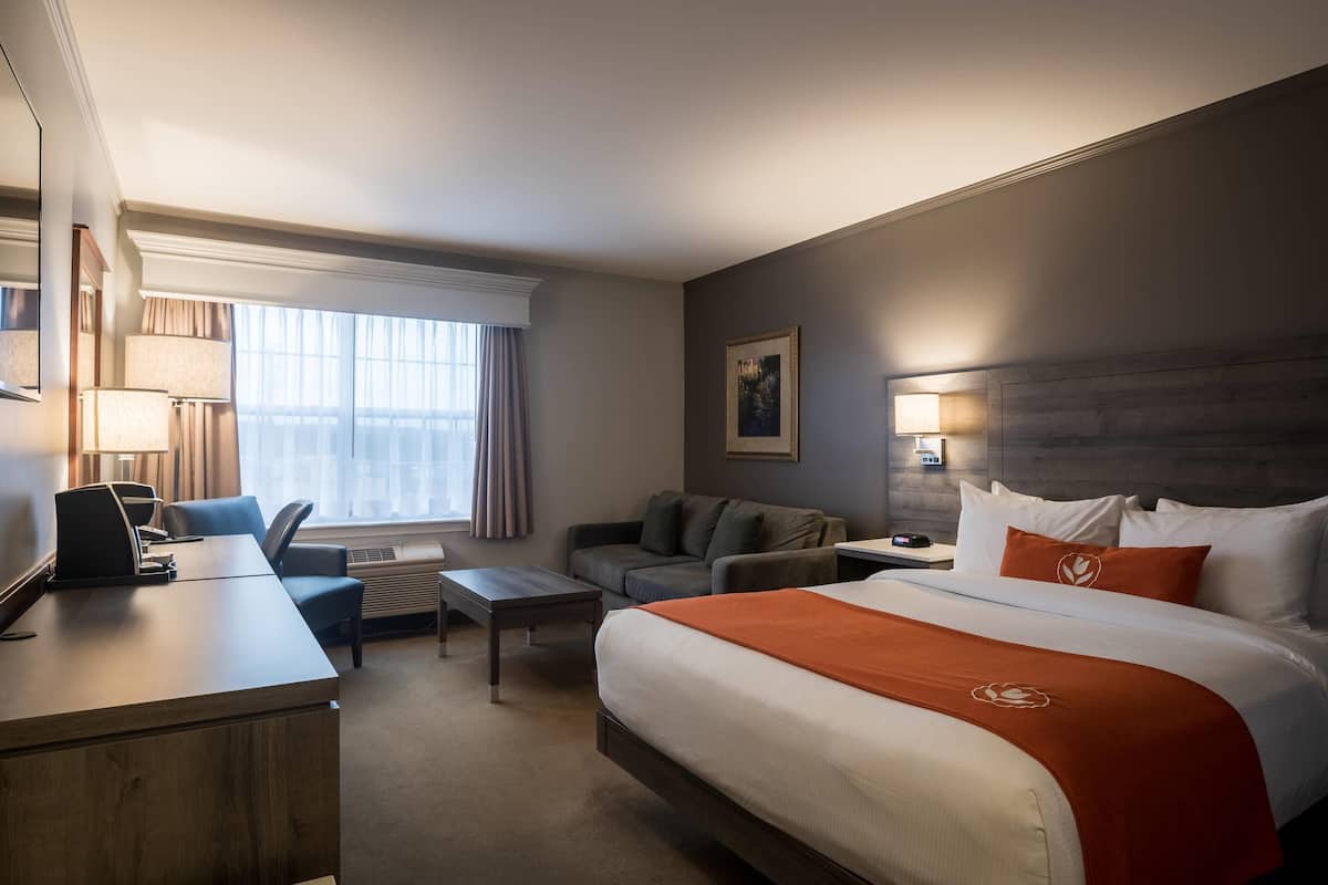 Quarto de hotel com cama, escrivaninha, cadeira, sofá, abajur e um quadro na parede.