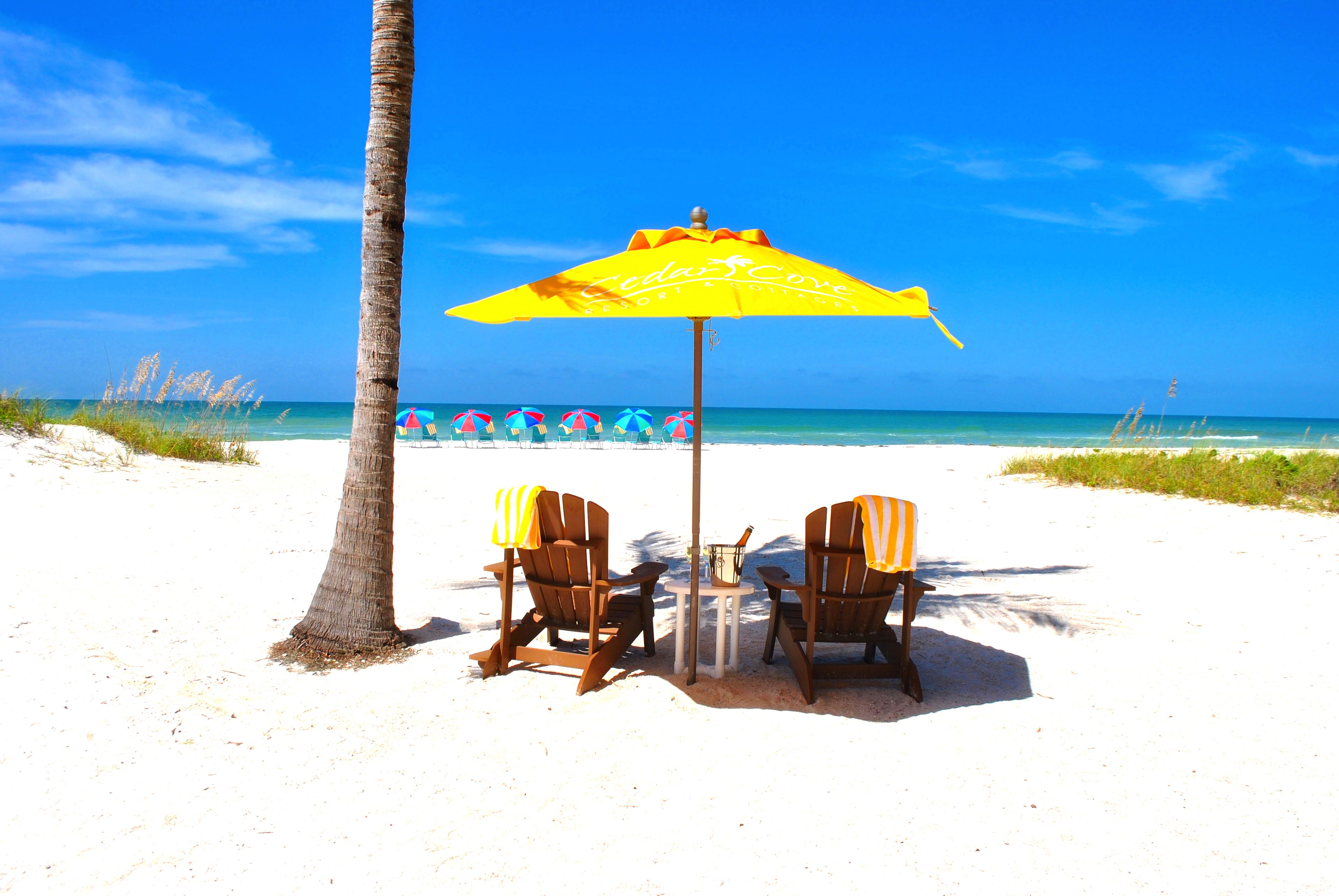 Cenário de praia com duas cadeiras Adirondack sob um guarda-sol amarelo, uma palmeira e vista para o oceano.