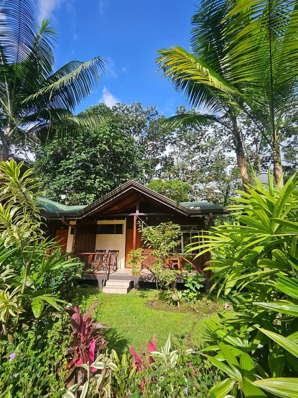 Quarto Básico | Terraço/pátio interior