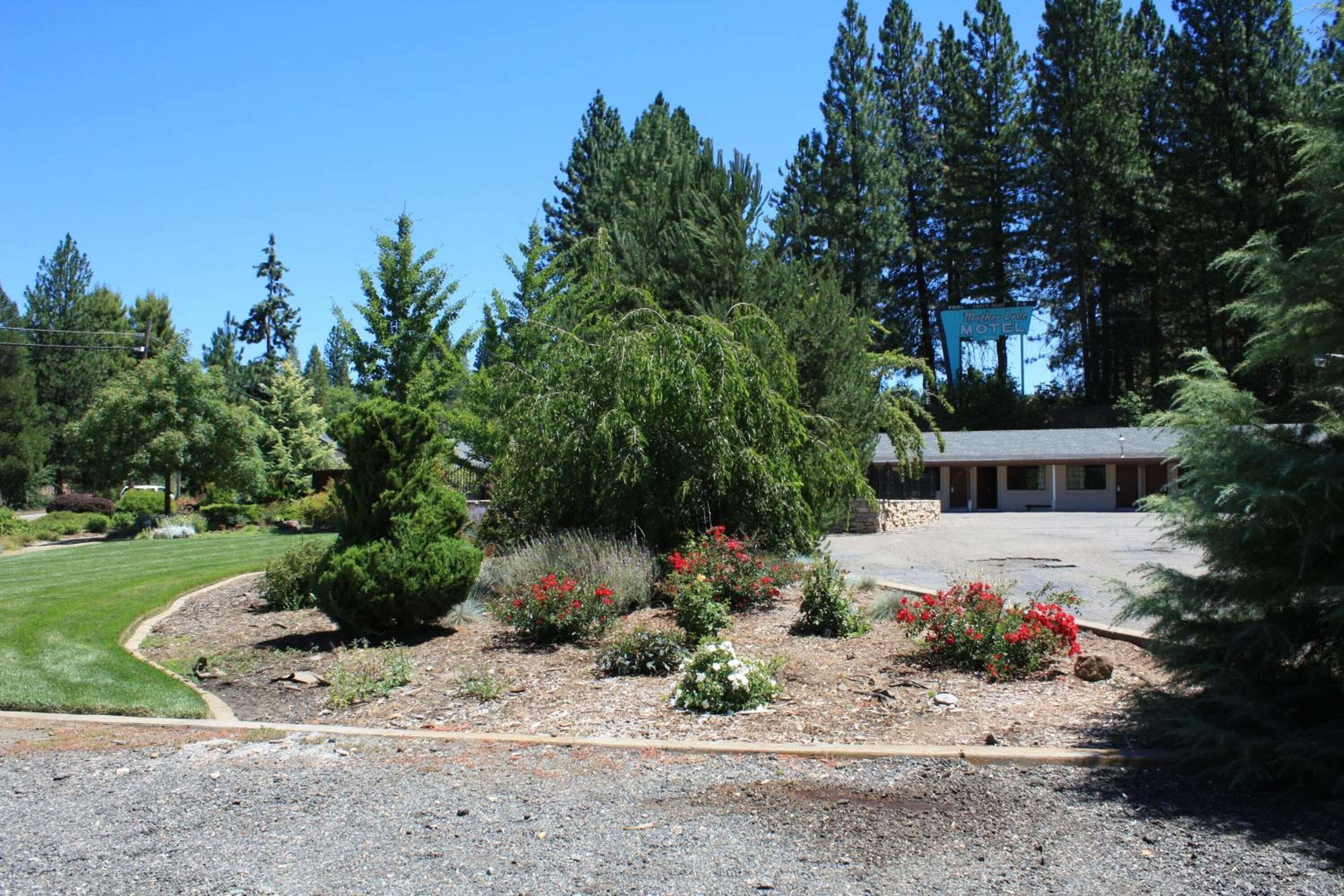 Um motel com um jardim bem cuidado, cercado por árvores altas.
