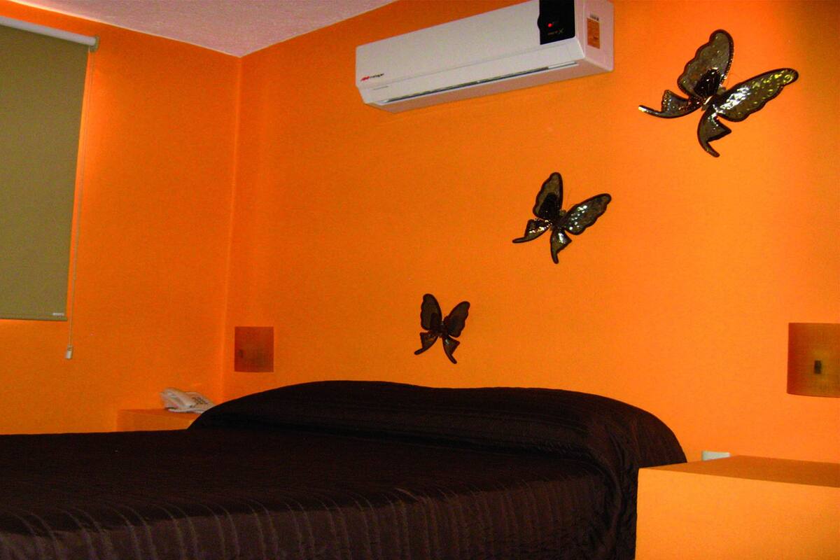Suíte, 1 quarto | 1 quarto, edredons de pluma