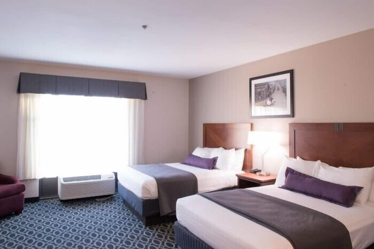 Quarto, adaptado para pessoas com dificuldades de mobilidade (Queen Queen) | Roupa hipoalergénica, secretária, ferro/tábua de engomar