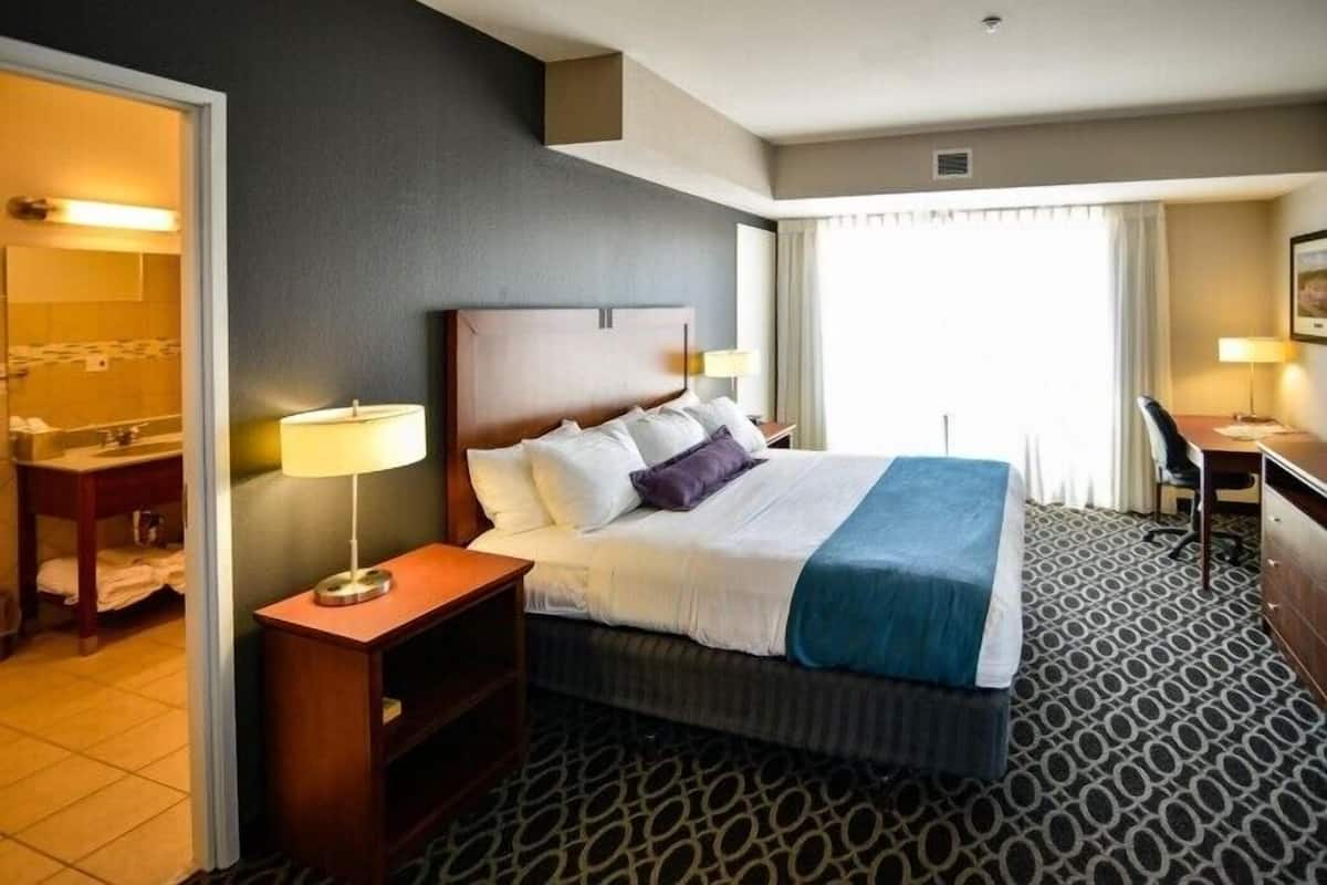 Suite Executiva, 1 cama king-size | Roupa hipoalergénica, secretária, ferro/tábua de engomar