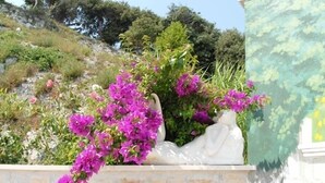 Mural de pedra com uma estátua e flores vibrantes de bougainvillea roxas.