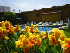 Piscina exterior