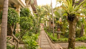 Um caminho ladeado por vegetação exuberante e um edifício tradicional com telhado de azulejos.