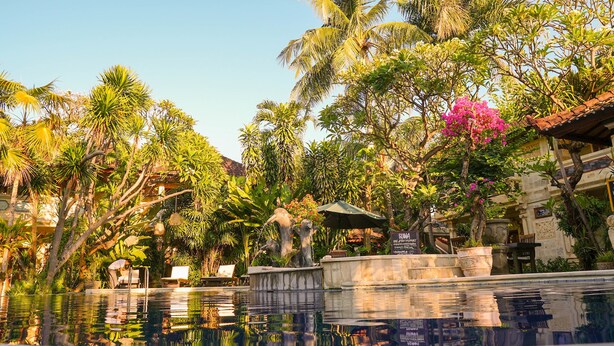 Uma área de piscina tranquila com espreguiçadeiras, um recurso aquático e vegetação tropical exuberante.