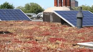 Painéis solares em um telhado com um edifício ao fundo.