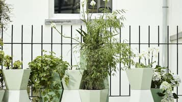Terraço/pátio
