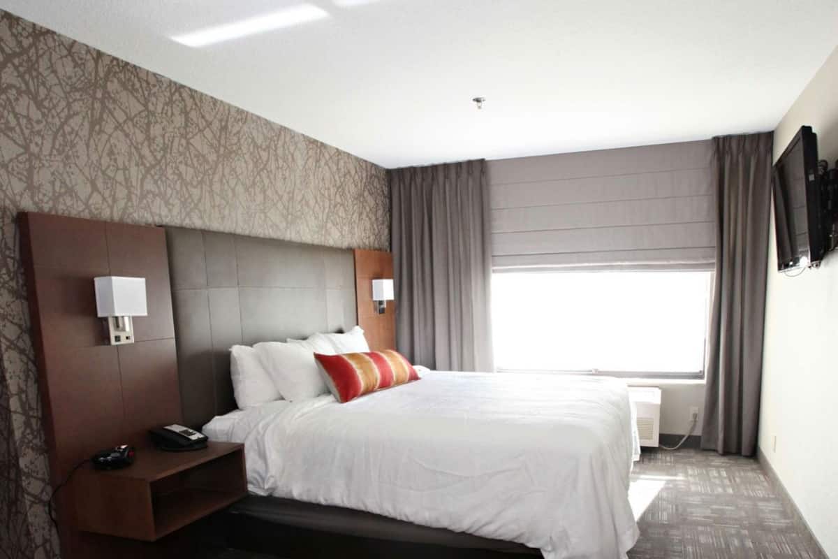 Ferro/tábua de engomar, berços/camas para crianças grátis, Wi-fi grátis