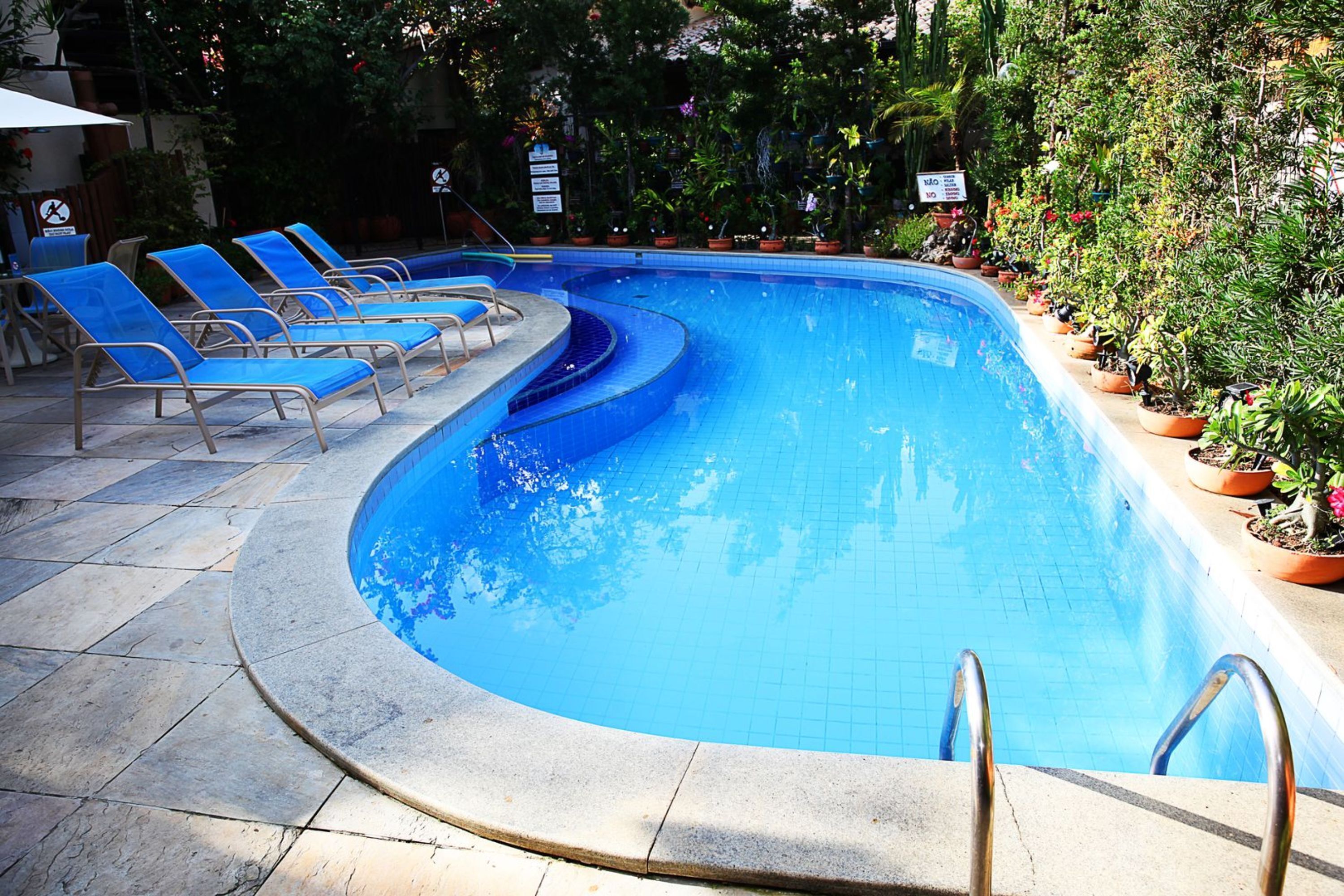 Piscina com água azul, rodeada por espreguiçadeiras e plantas em vasos.