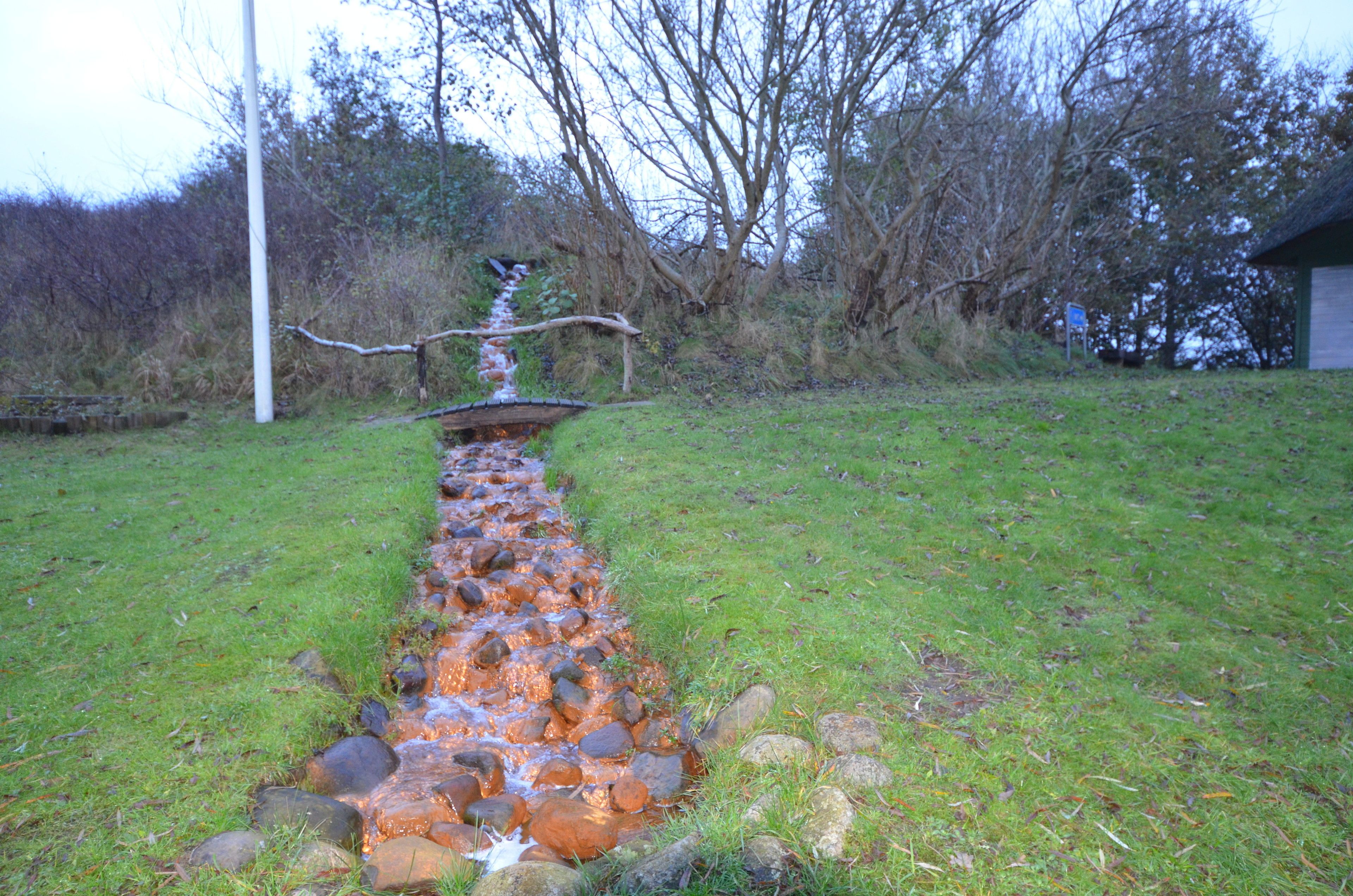 Um jardim com um pequeno riacho, pedras e árvores.
