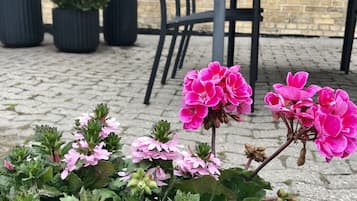 Terraço/pátio interior