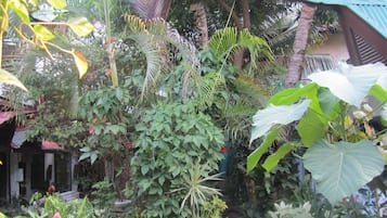 Jardim