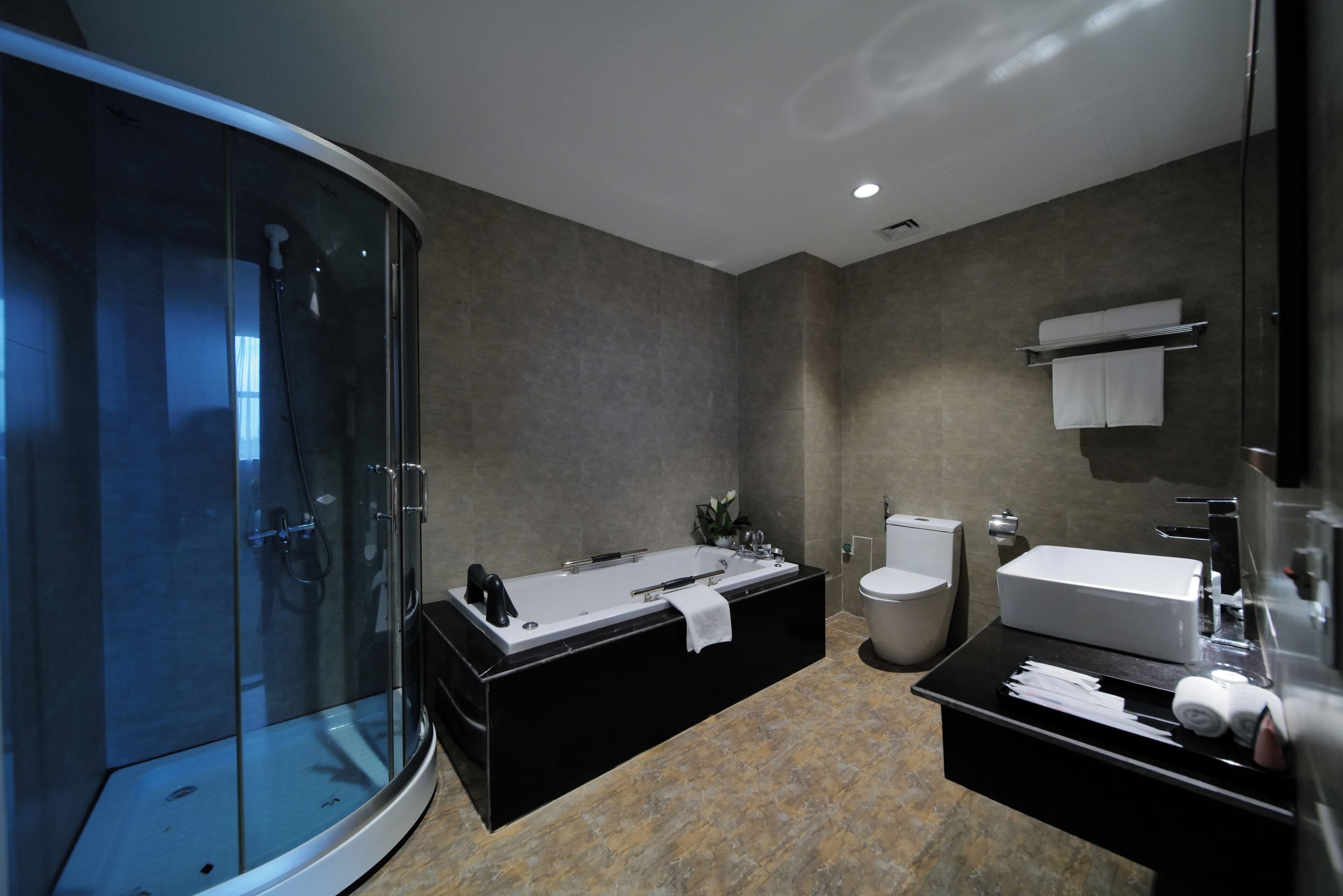 Suite Executiva | Casa de banho | Artigos de higiene pessoal grátis, um secador de cabelo, chinelos 
