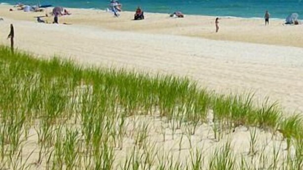 Uma praia com areia e grama rala ao primeiro plano.