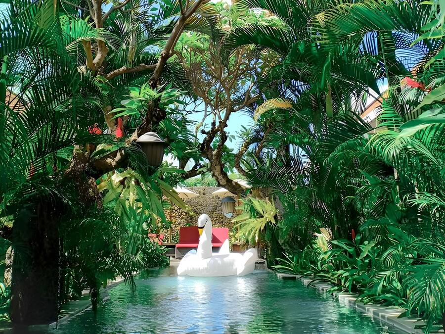 Piscina externa, guarda-sóis, espreguiçadeiras